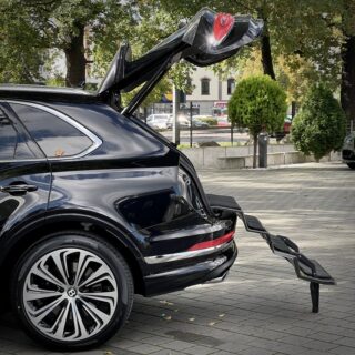 Dog & Drive – Premium Dog Transport for Cars & SUVs | Dog&Drive