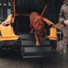 Dog & Drive – Premium Dog Transport for Cars & SUVs | Dog&Drive