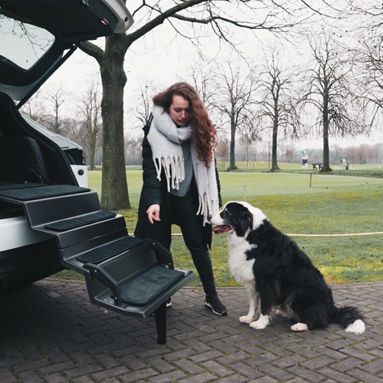 Dog & Drive – Premium Dog Transport for Cars & SUVs | Dog&Drive